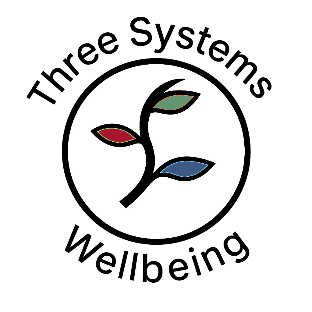 Meet the 3 Systems Wellbeing Team